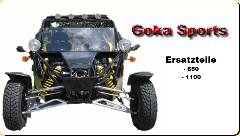 Buggycity - Buggy mit Straßenzulassung